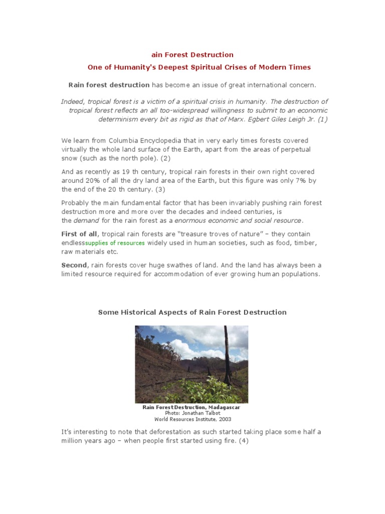Forest Wealth | Download Free PDF | Deforestation | Fossil Fuels