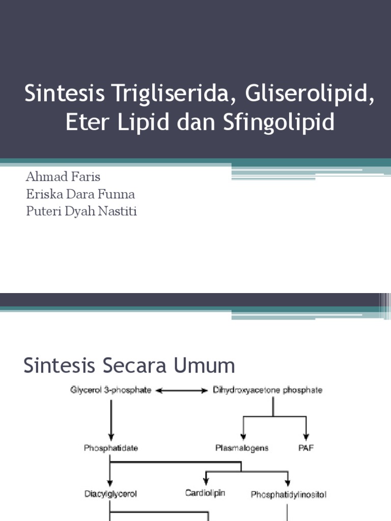 16 - Sintesis Trigliserida, Gliserolipid, Eter Lipid, Dan Sfingolipid