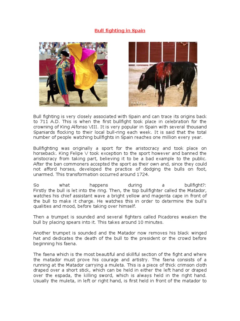 Bull Fighting in Spain | PDF | Bullfighting | Bull