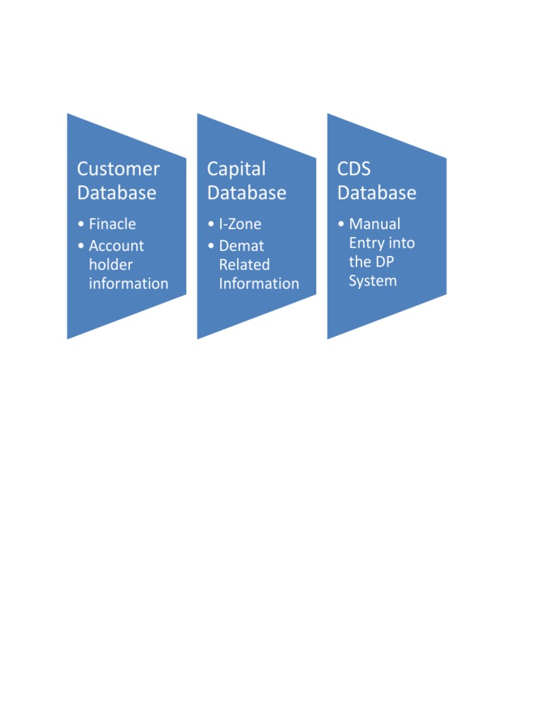 Customer Database Capital Database CDS Database | PDF