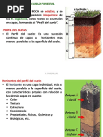 LITOSOLES | PDF | Suelo | Roca (geología)