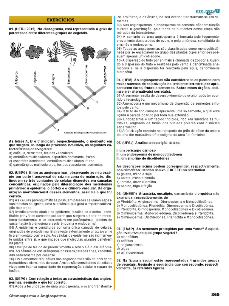 Angiospermas x Gimnospermas | PDF | Semente | Flores