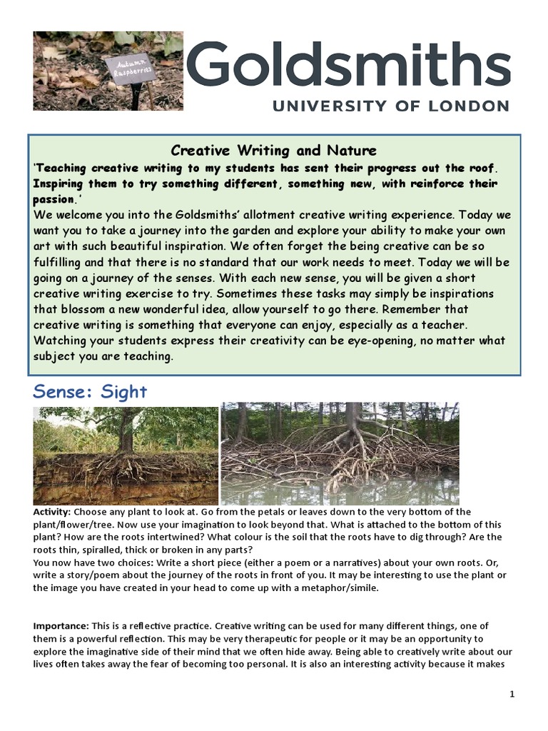 Creative Writing and Nature | PDF | Senses | Taste