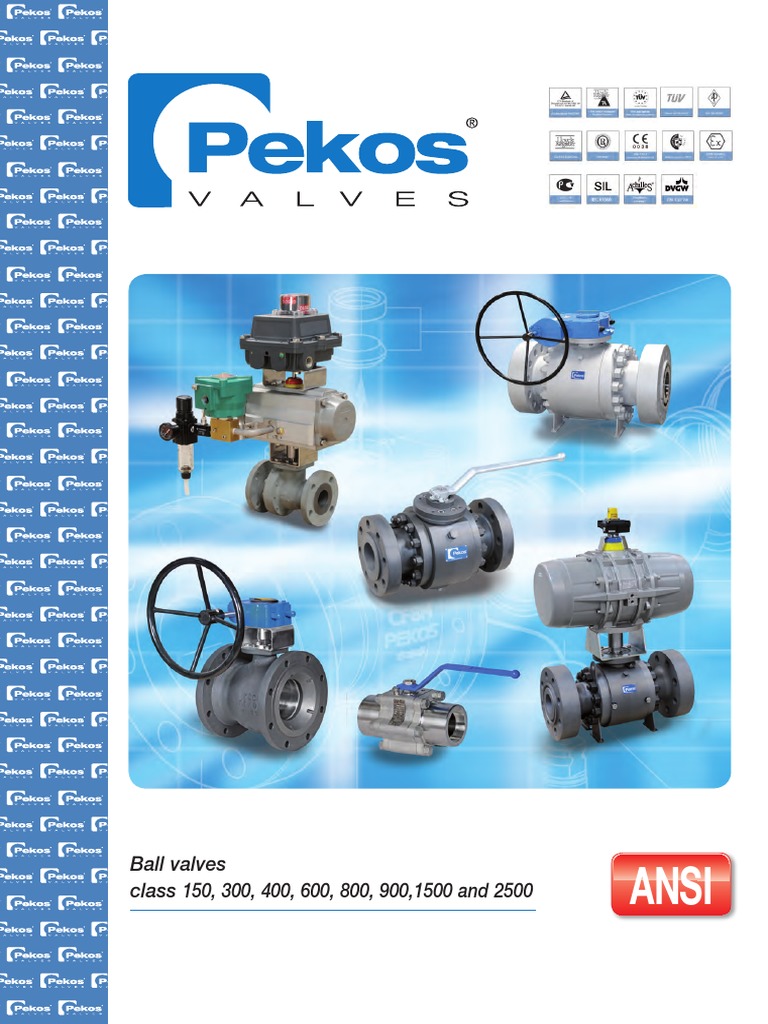 Pekos Asme Range | PDF | Valve | Mechanical Engineering