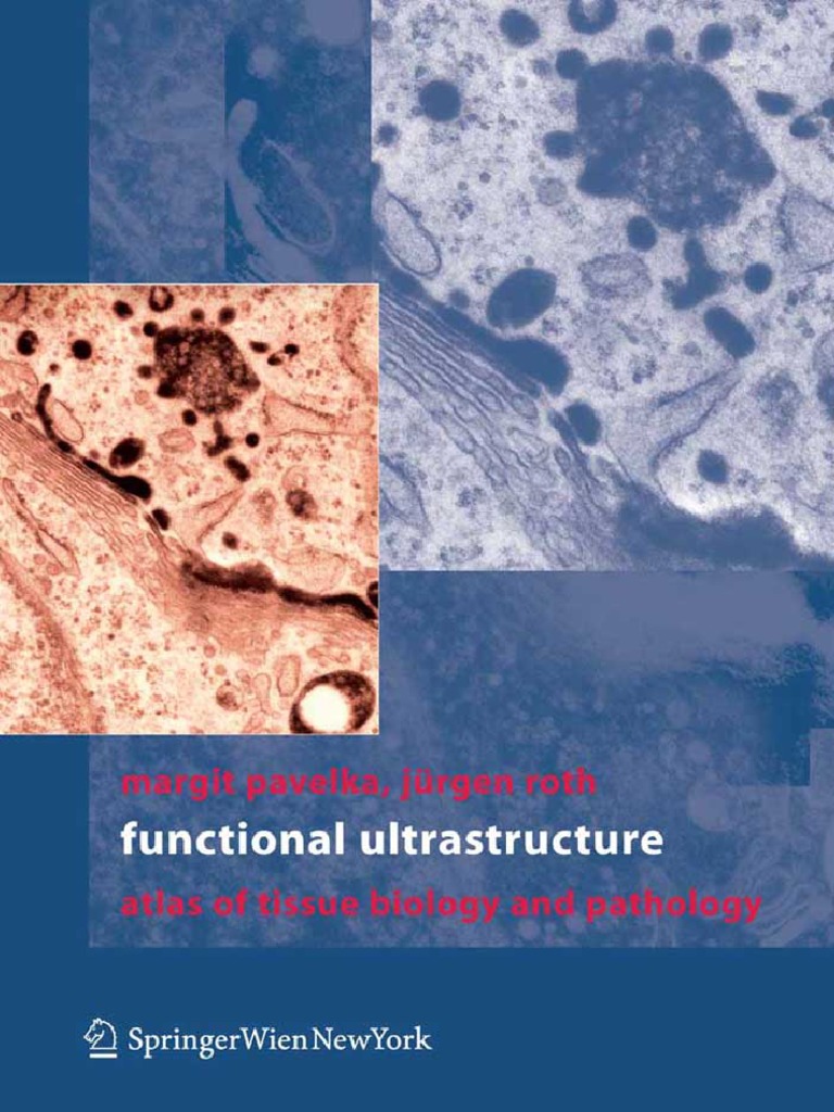 Micro Electro Functional Ultrastructure - An Atlas of Tissue Biology ...