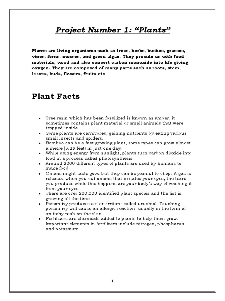 Project Number 1: "Plants": Plant Facts | PDF | Photosynthesis | Plants