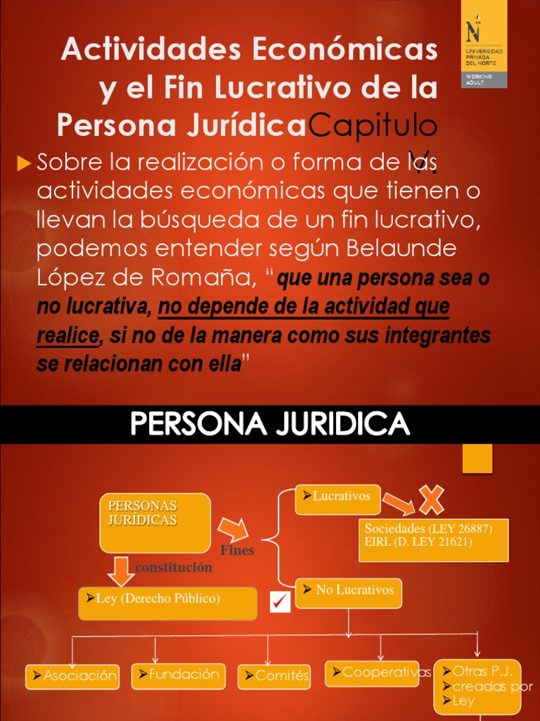 Actividades Económicas y El Fin Lucrativo | PDF | Personalidad legal ...