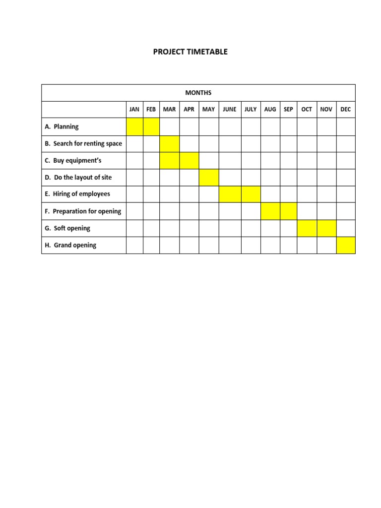 Project Timetable for Business Launch | PDF