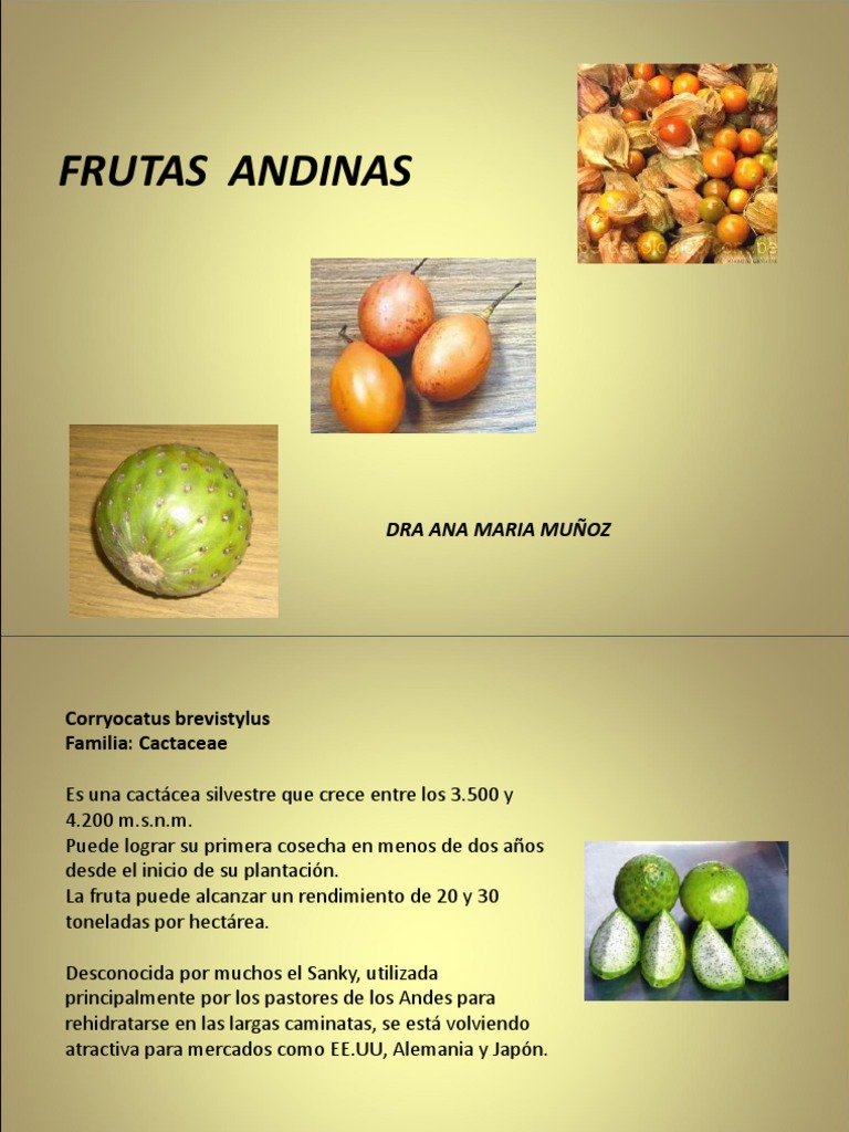 Frutas Andinas | Tomate | Perú
