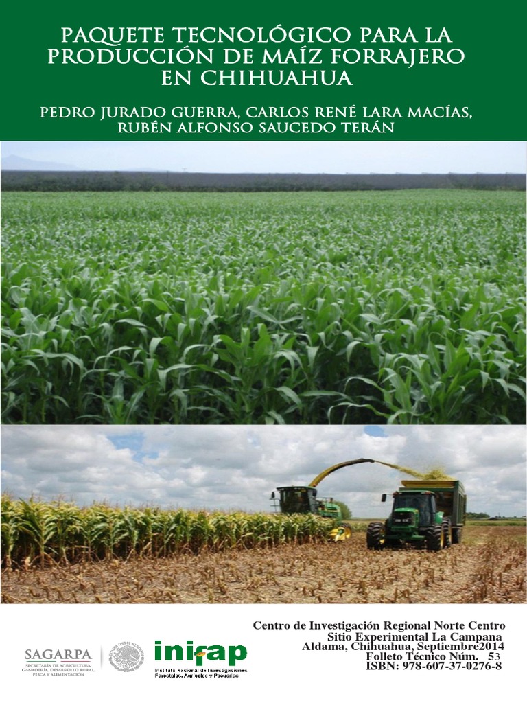 Maiz Forrajero | Fertilizante | Siembra