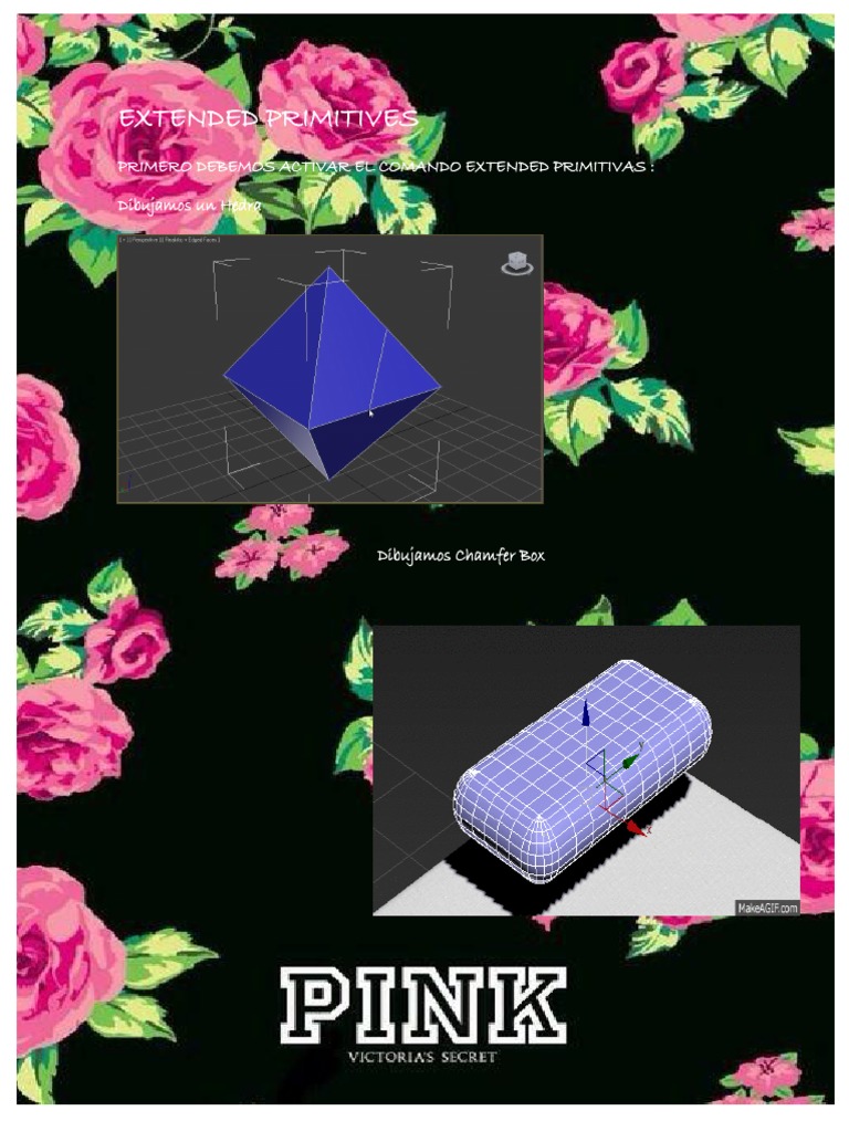 Extended Primitives | PDF