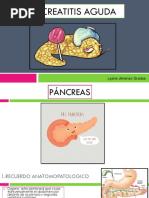 PANCREATITIS AGUDA. Presentación PowerPoint | PDF | Páncreas | Especialidades Medicas