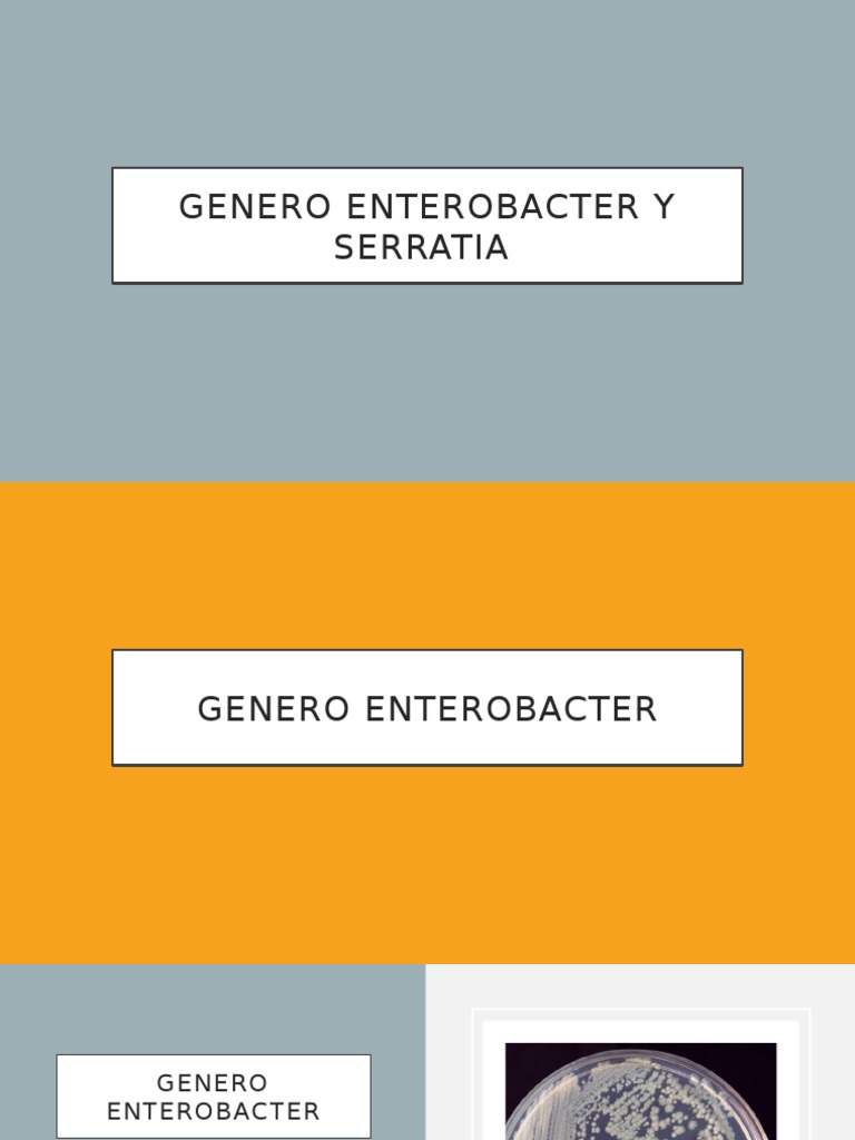Genero Enterobacter y Serratia | PDF | Infección | Las bacterias
