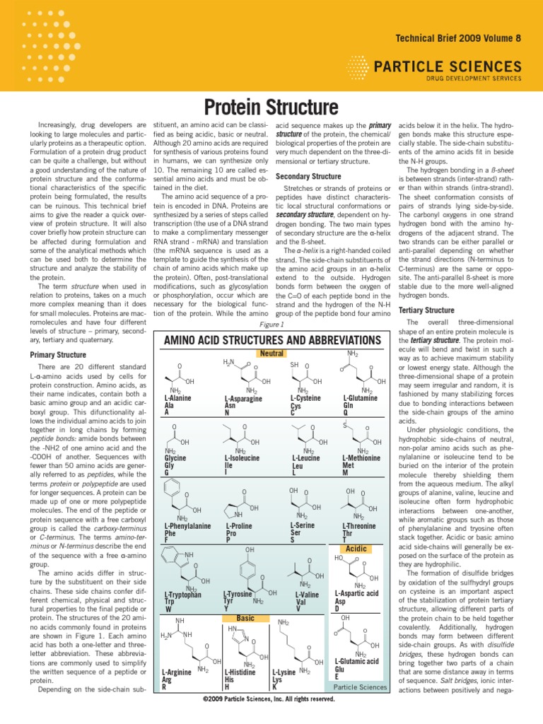 Protein Structure PDF | PDF | Biomolecular Structure | Proteins