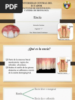 Curva de Spee y Wilson | PDF | Ortodoncia | Odontología