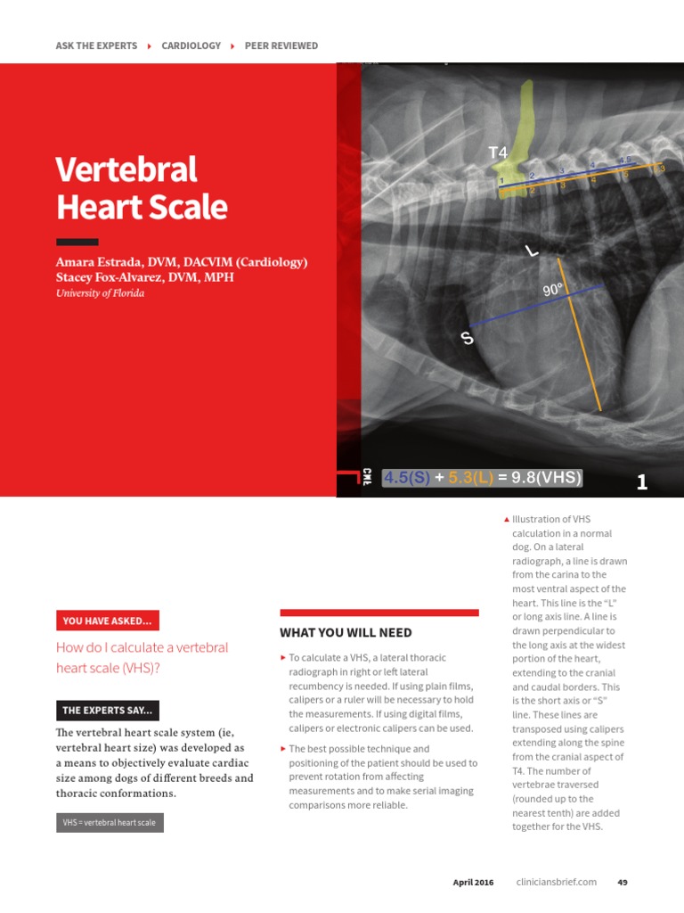 ASK - Vertebral Heart Scale-1 | PDF | Heart Failure | Heart