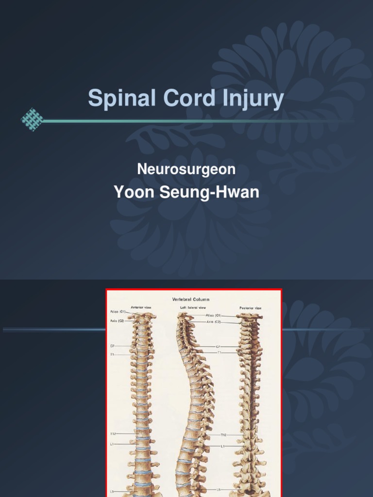Spinal Cord Injury | PDF | Spinal Cord Injury | Vertebral Column