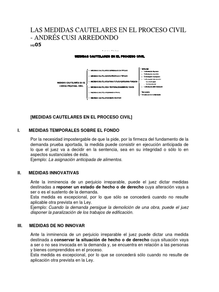 Las Medidas Cautelares en El Proceso Civil | Posesión (Ley) | Estatuto de limitaciones