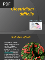 Xpert C.difficile ENGLISH Package Insert 300-8023 Rev. G | PDF ...