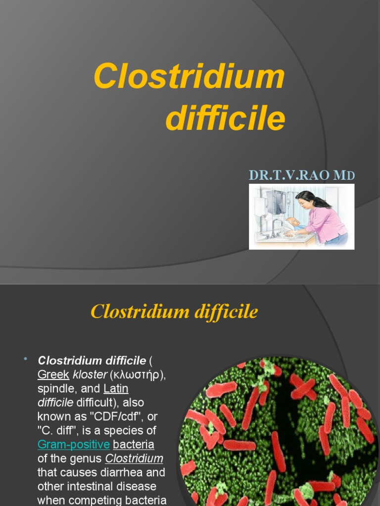 Clostridium Difficle | PDF | Medical Specialties | Clinical Medicine