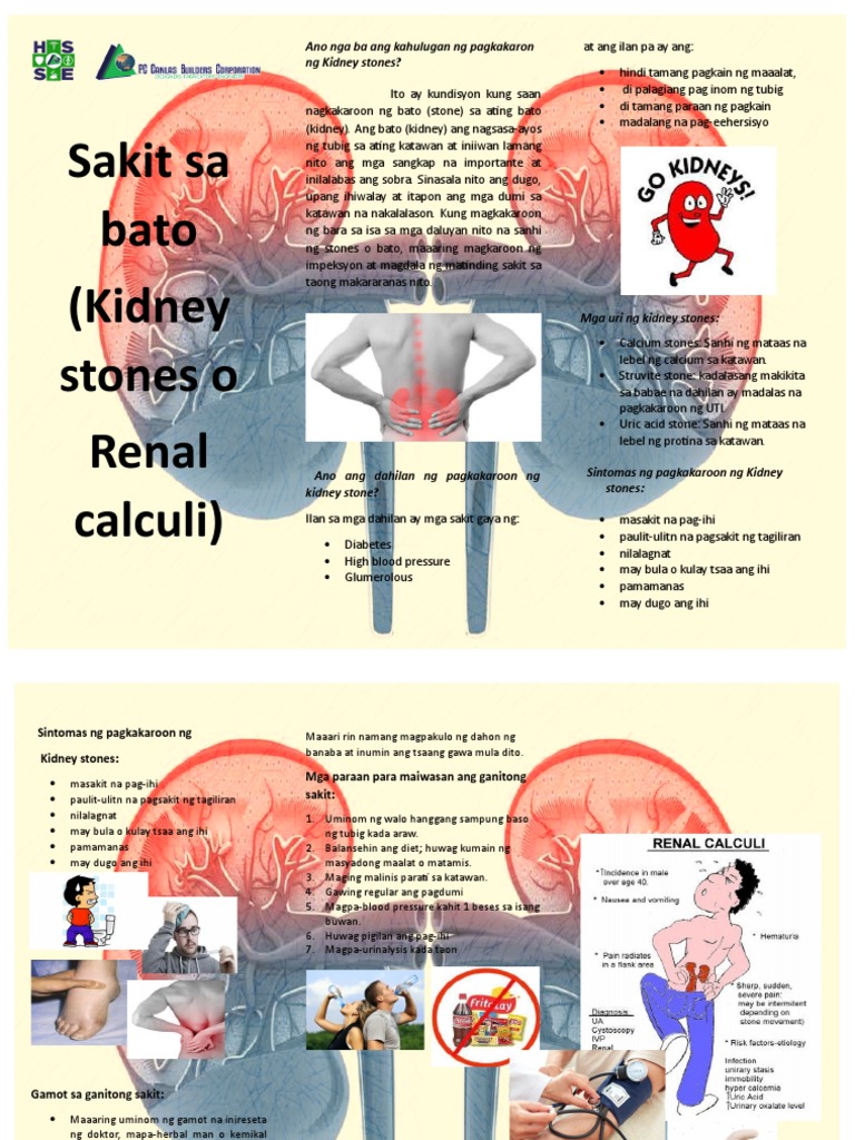 Sakit Sa Bato | PDF