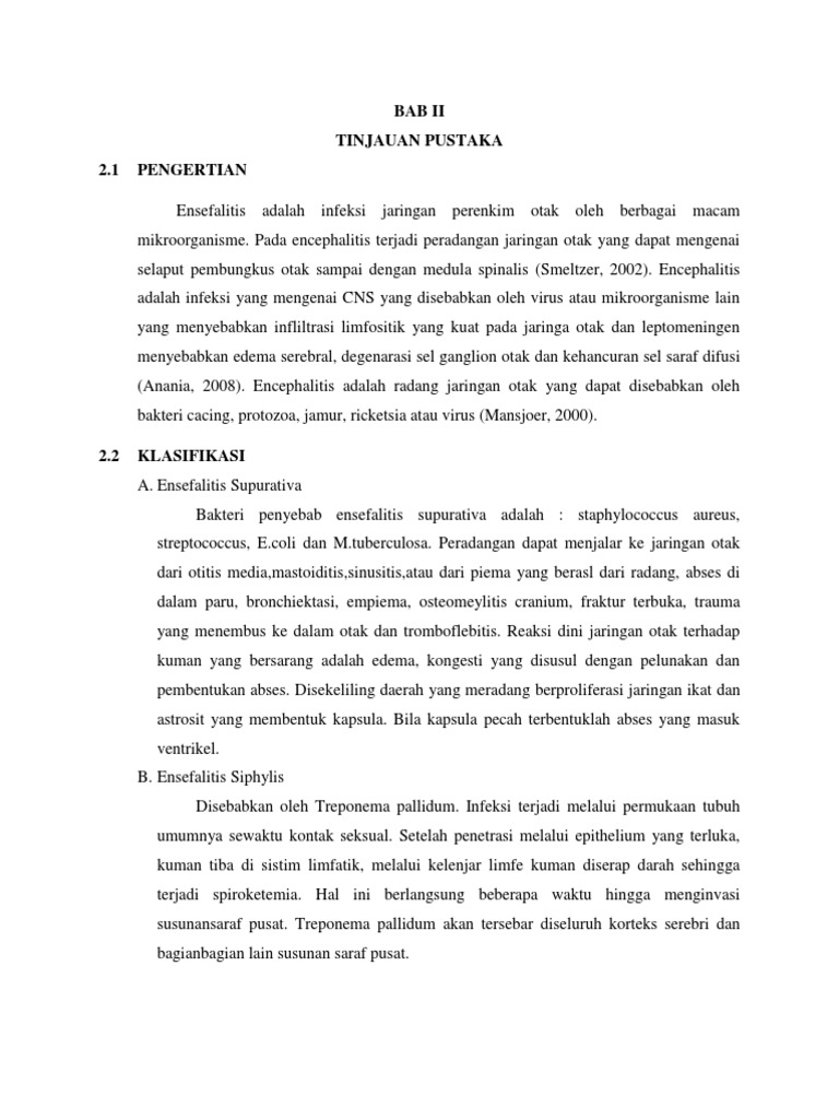 LP Ensefalitis | PDF