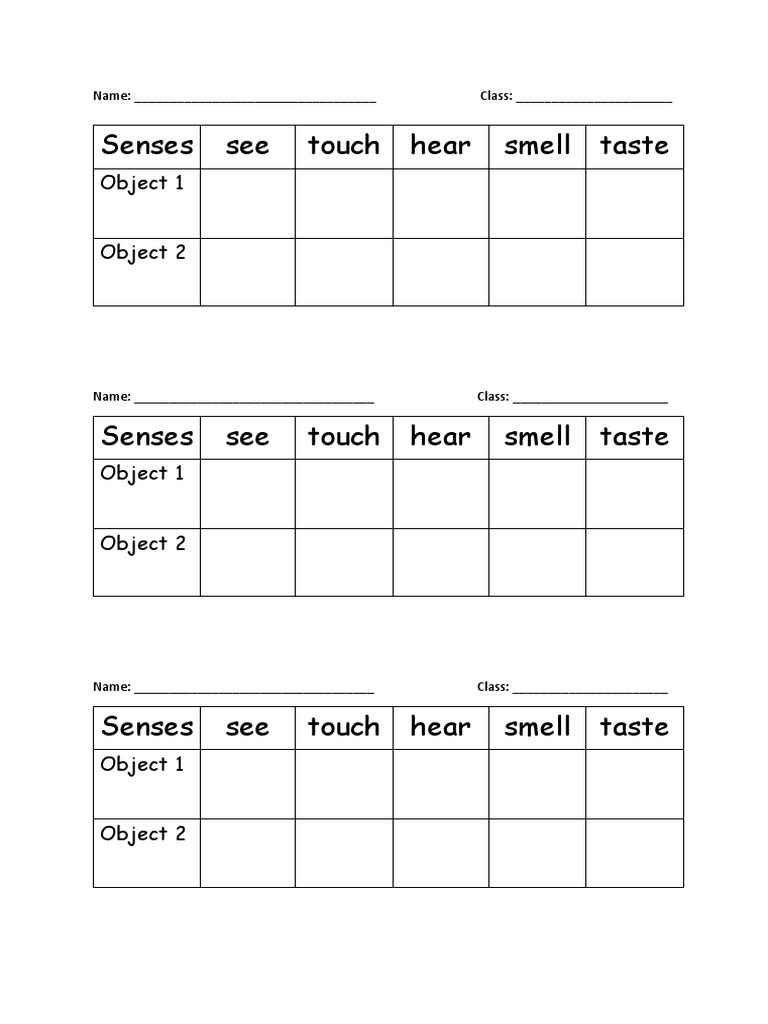 Senses See Touch Hear Smell Taste: Object 1 Object 2 | PDF | Senses ...