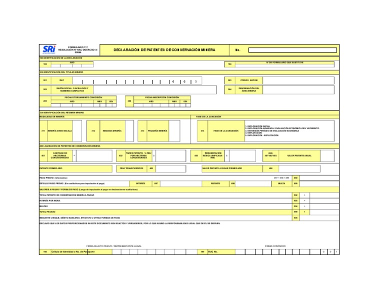 Formulario 117 | PDF
