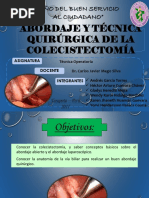 CISTOCLISIS | PDF | Vejiga urinaria | Orina