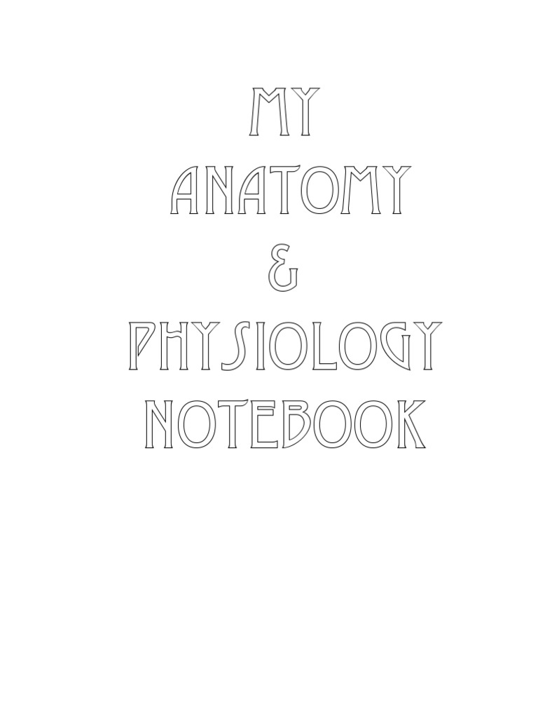 Anatomy Notebook | PDF | Vein | Heart