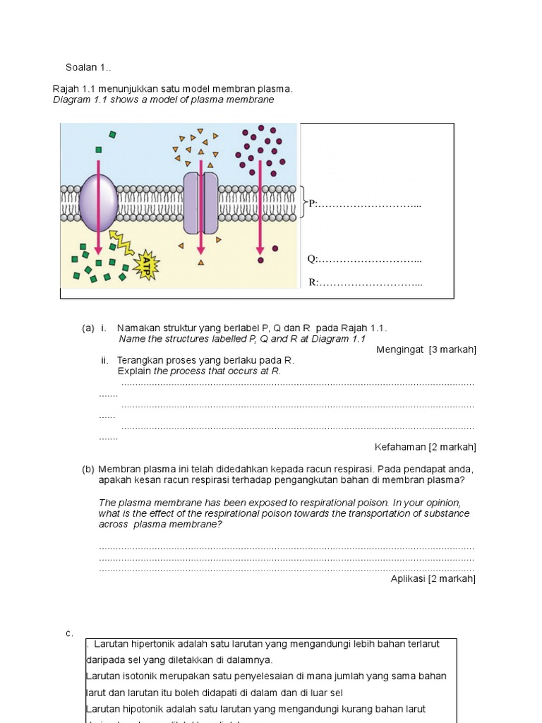Contoh Soalan 1.kbat Biologi | PDF