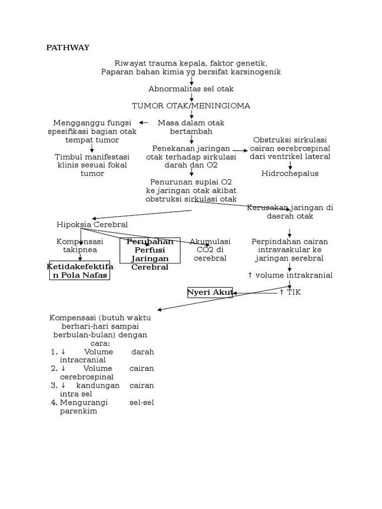 Pathway Meningioma | PDF