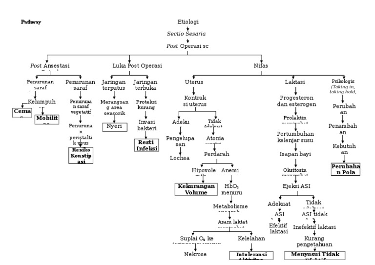 Pathway Post Operasi SC | PDF