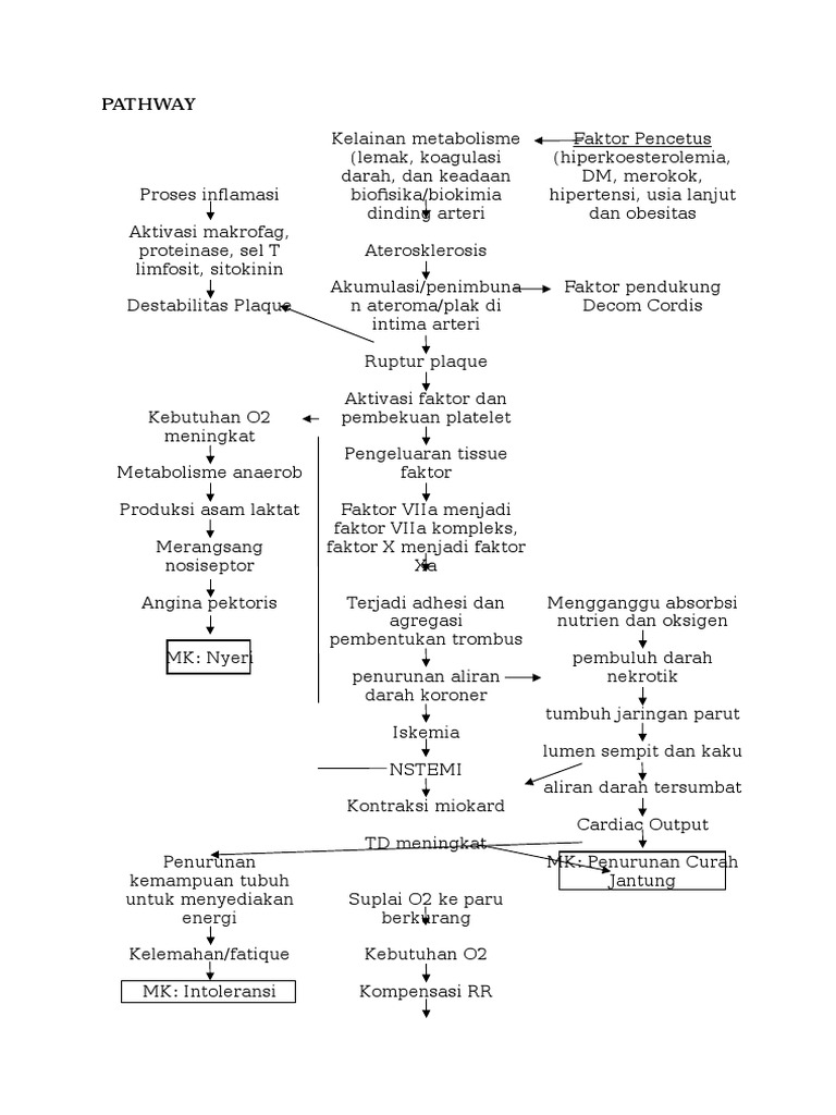 Pathway Nstemi