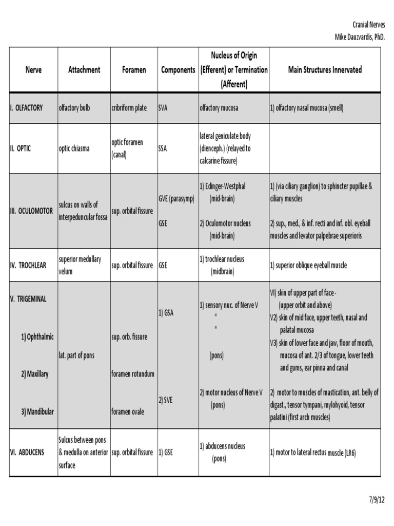 Nerve Attachment Foramen Components Nucleus of Origin (Efferent) or Termination (Afferent) Main ...