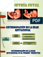 Clasificación de Grados de Placenta Grannum | PDF | Placenta | Parto
