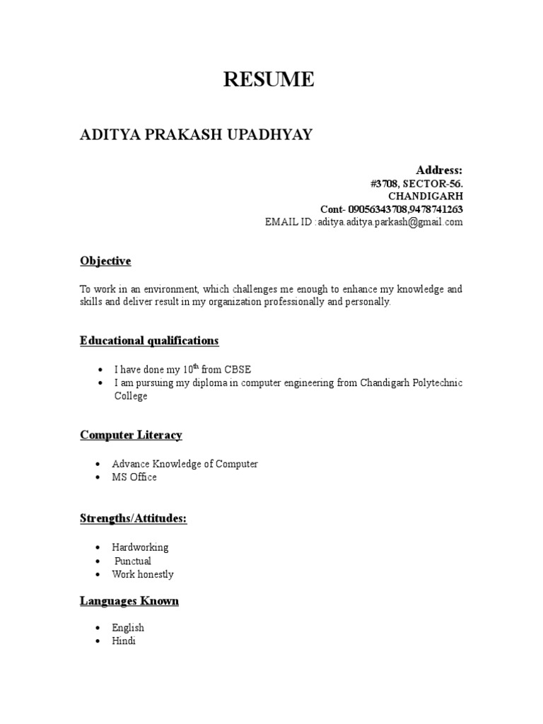 Aditya Resume | PDF
