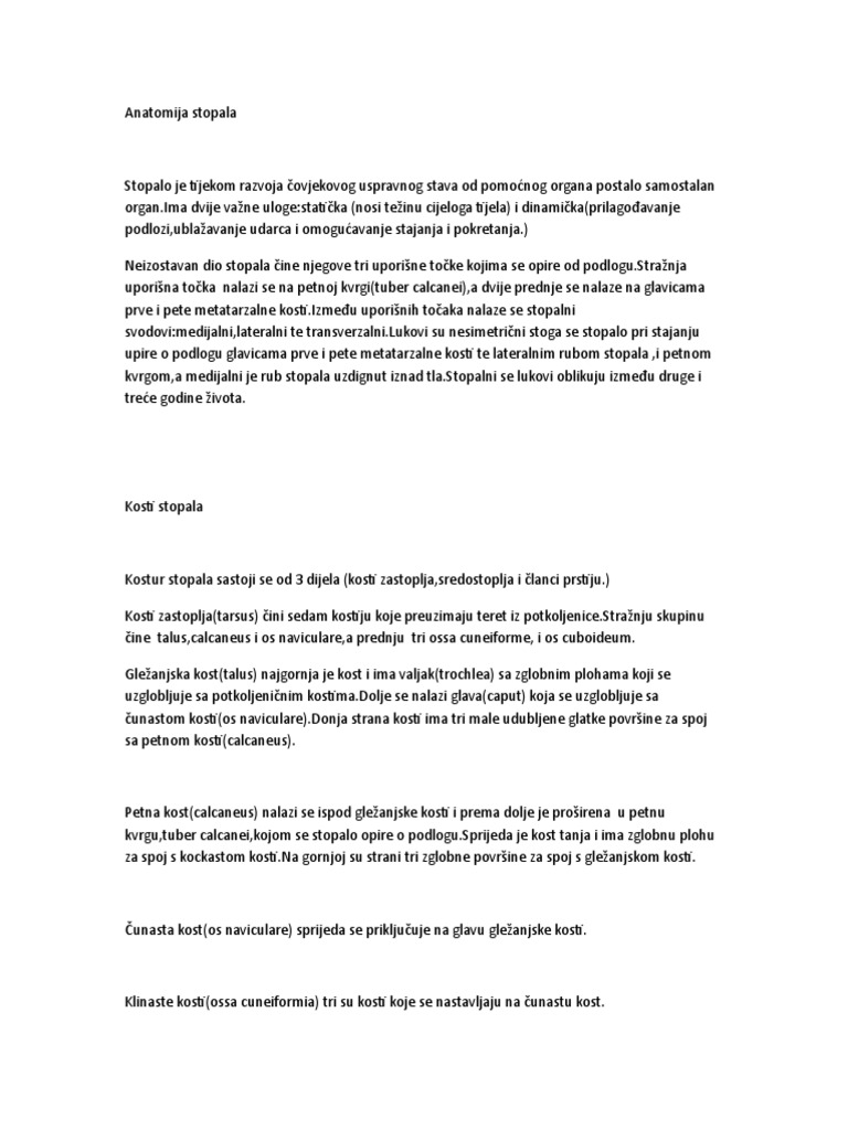 Anatomija Stopala | PDF