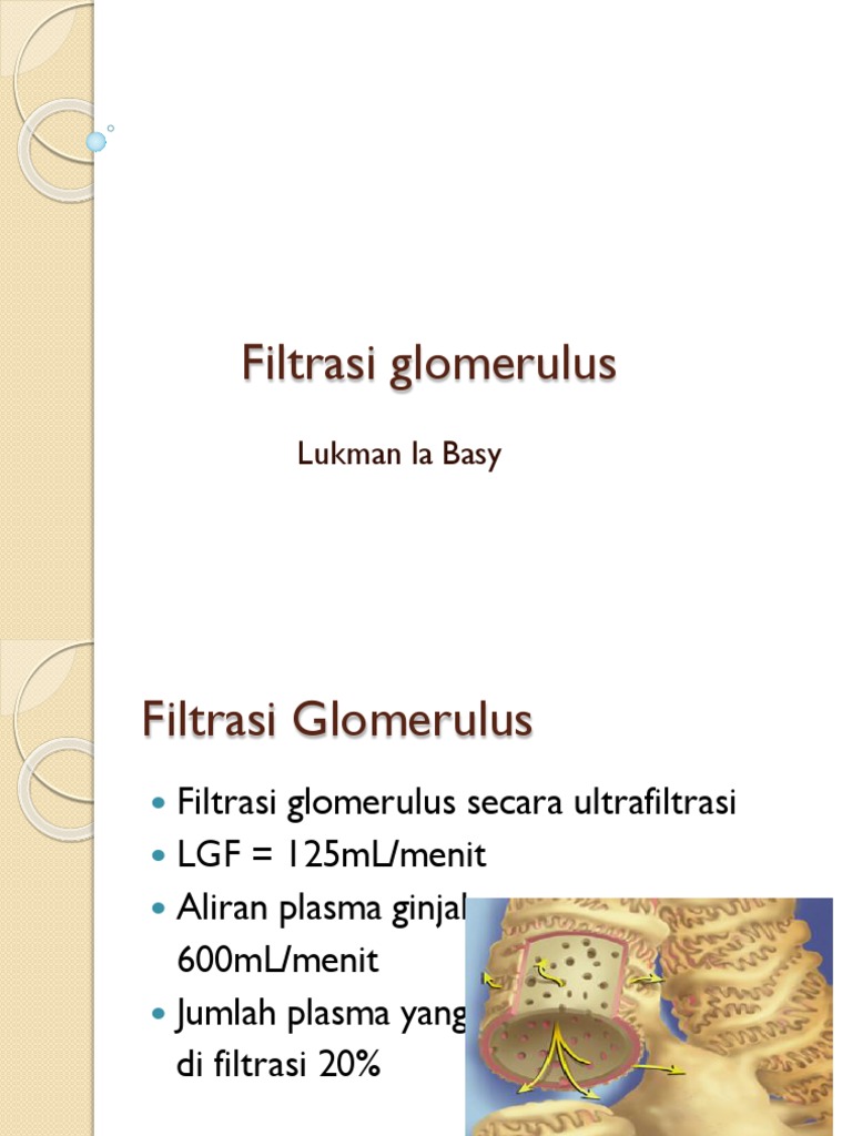 Filtrasi Glomerulus | PDF