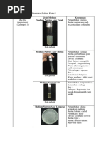 Perhitungan Jumlah Bakteri Dengan Metode Total Plate Count | PDF