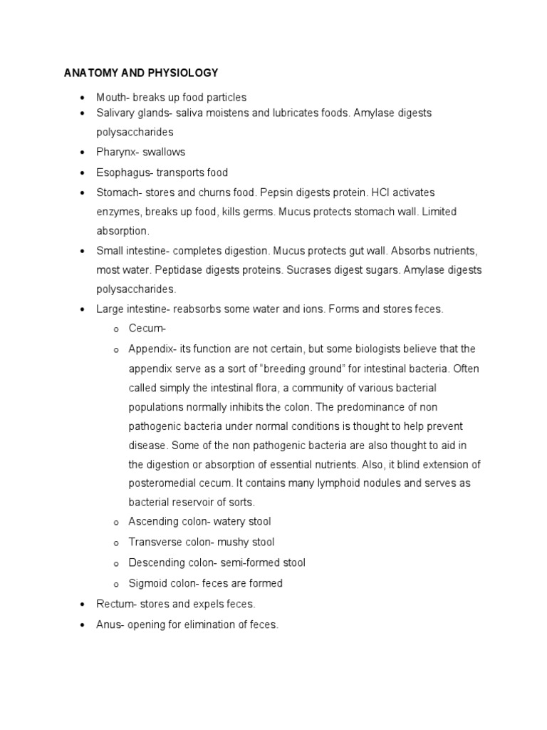 Anatomy and Physiology-Appendicitis | PDF | Digestion | Large Intestine