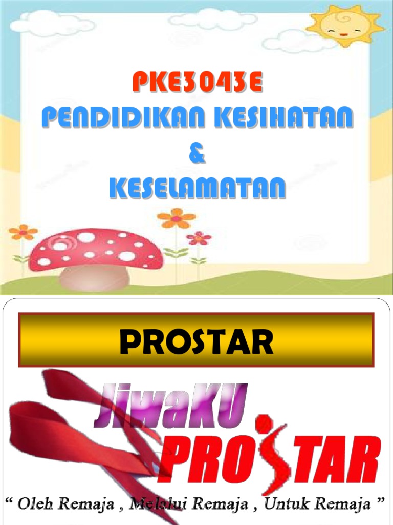 Program Adhoc Prostar | PDF