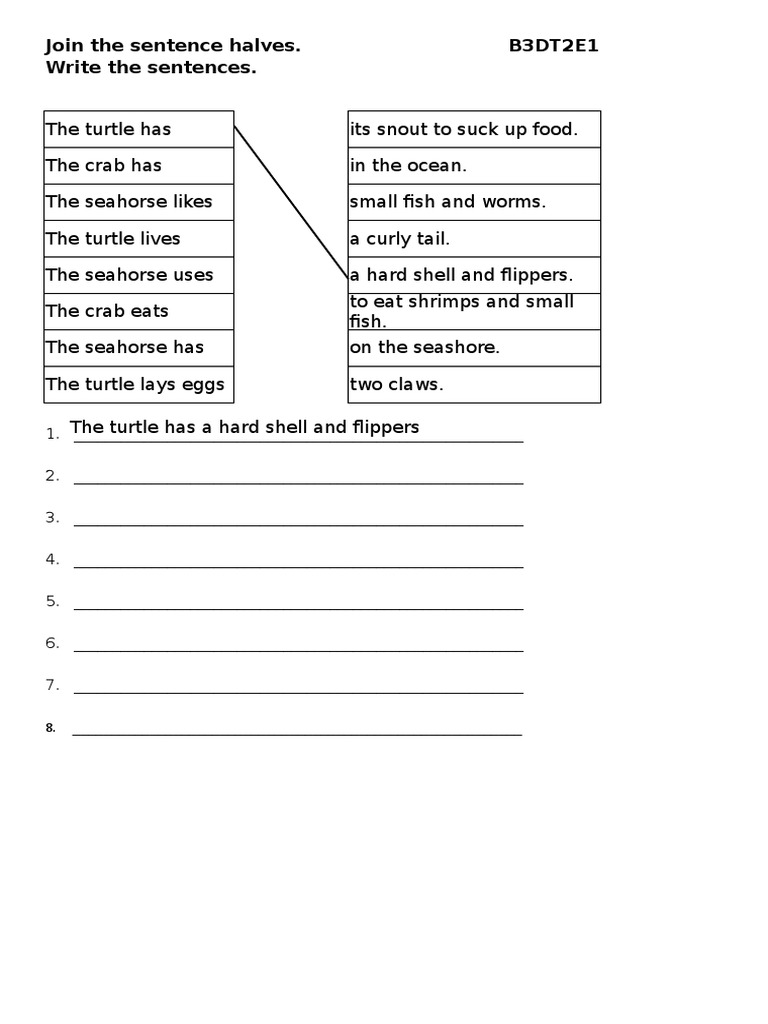 English Year 3 Worksheet | PDF