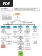 WOC Sirosis Hepatis | PDF