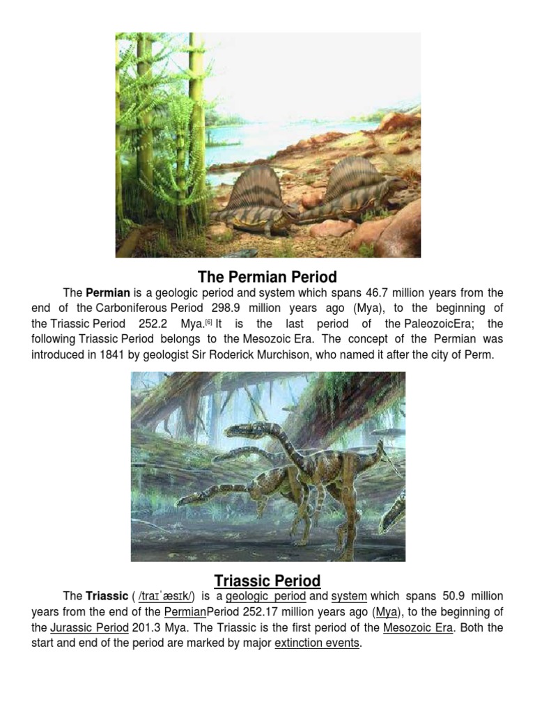 The Permian Period | PDF | Cretaceous | Earth Sciences