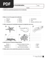 Foldables de Animales Invertebrados | PDF | Branquia | Tentáculo