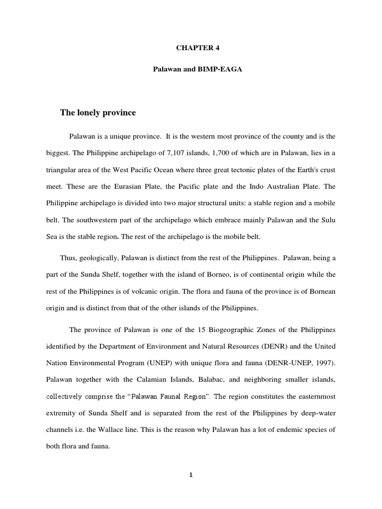 Chapter 4 Palawan and BIMP Final | PDF | Philippines