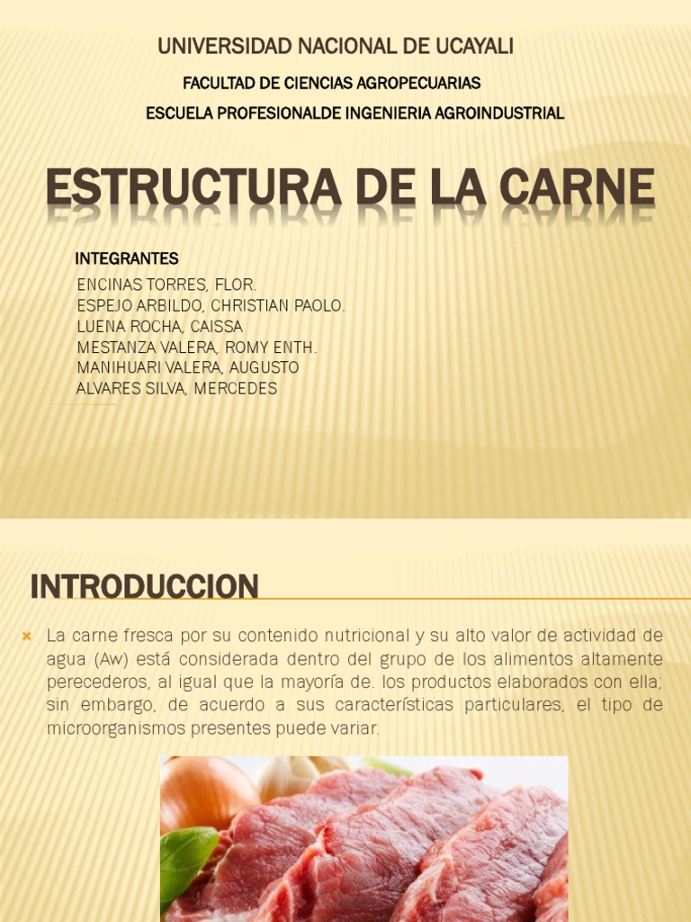 Estructura de La Carne | PDF | Carne | Músculo