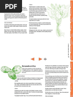 Tui Planting Calendar Poster | PDF | Vegetables | Crops