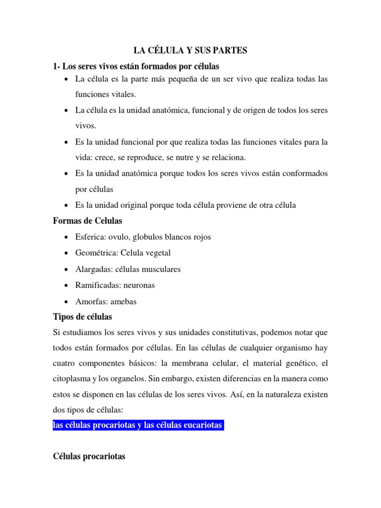 La Celula y Sus Parte para Sexto Grado | PDF | Citoplasma | Biología ...